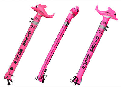 Pink Dolphin DSMB / Dive Manchester